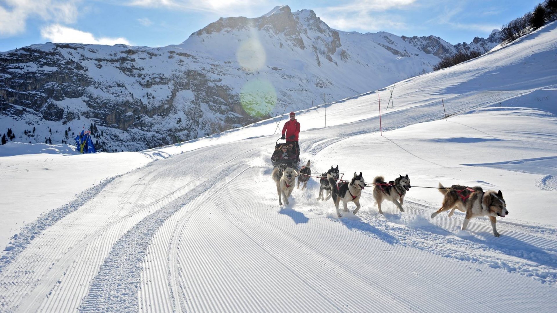 Dog Sledding | Val Thorens | Chalet and Apartment Rentals